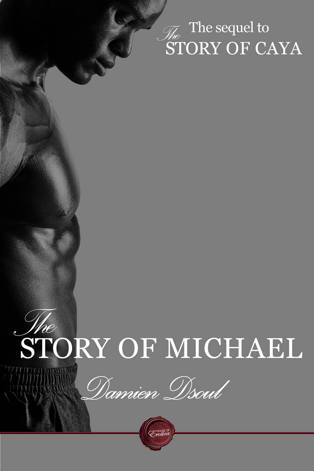 The Story of Michael by Damien Dsoul