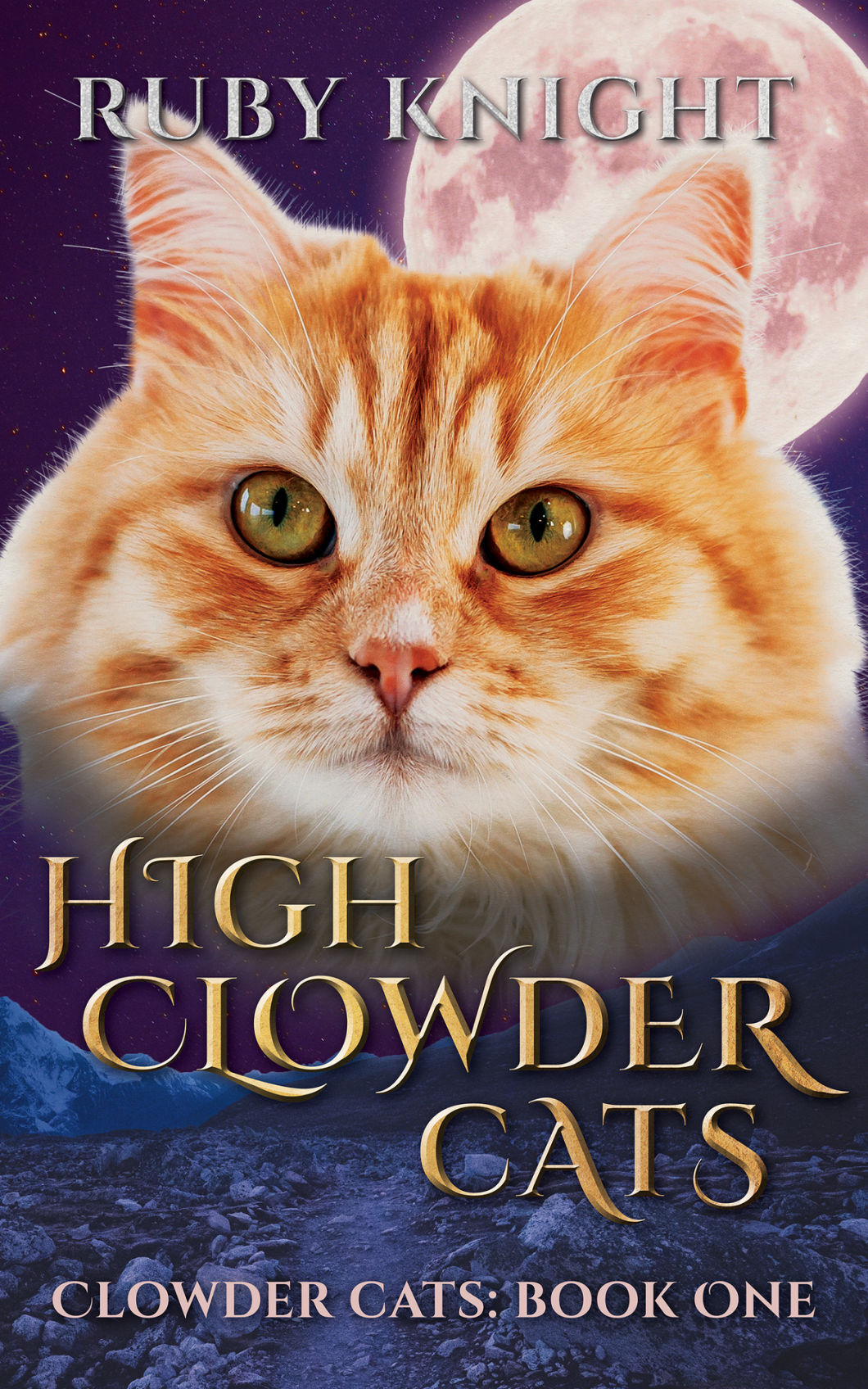 Vote for High Clowder Cats in Book Cover Competition April