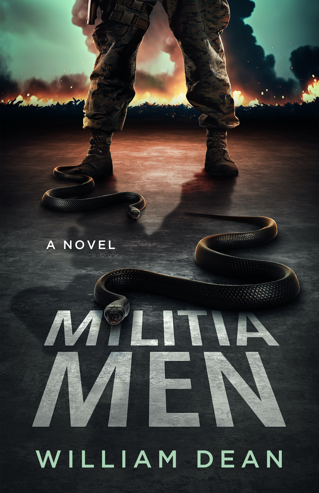 Vote for Militia Men in Book Cover Competition November