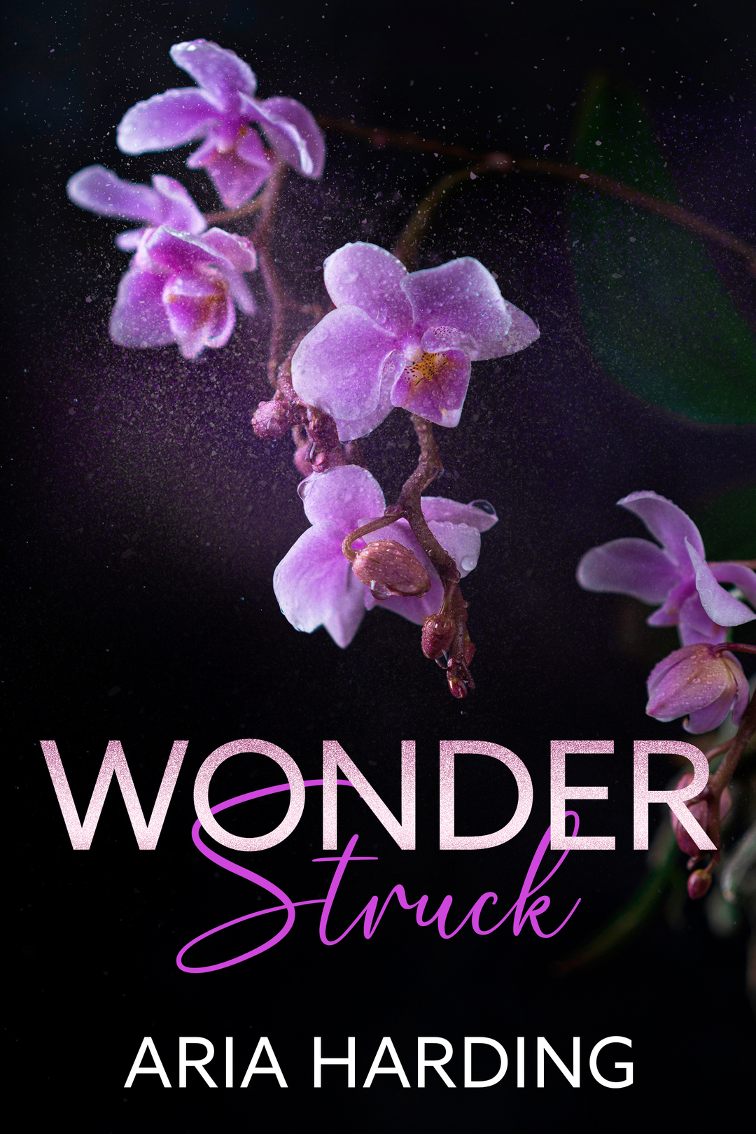 Wonderstruck Book Cover