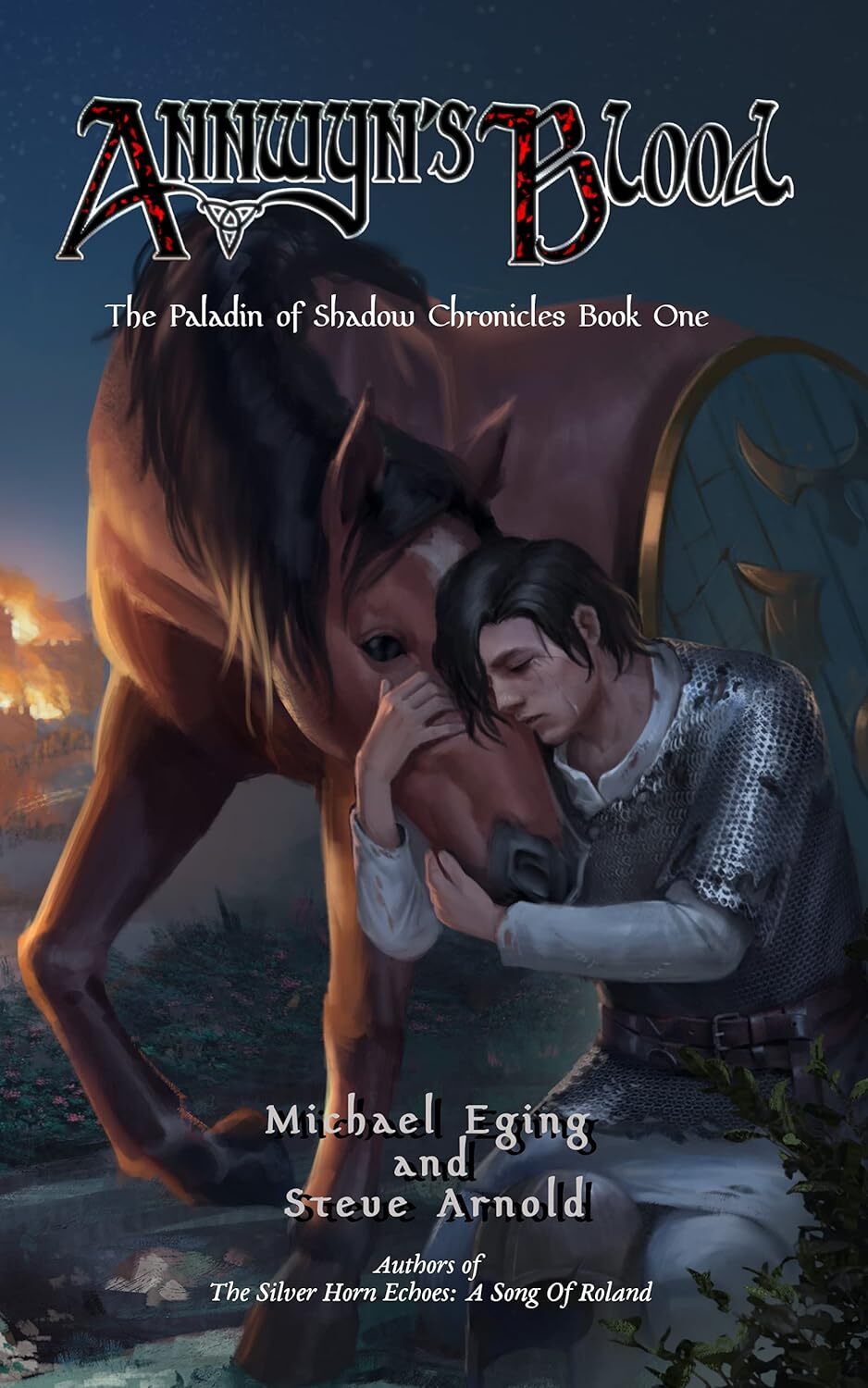 Vote for Annwyn's Blood (The Paladin of Shadow Chronicles Book 1) in ...