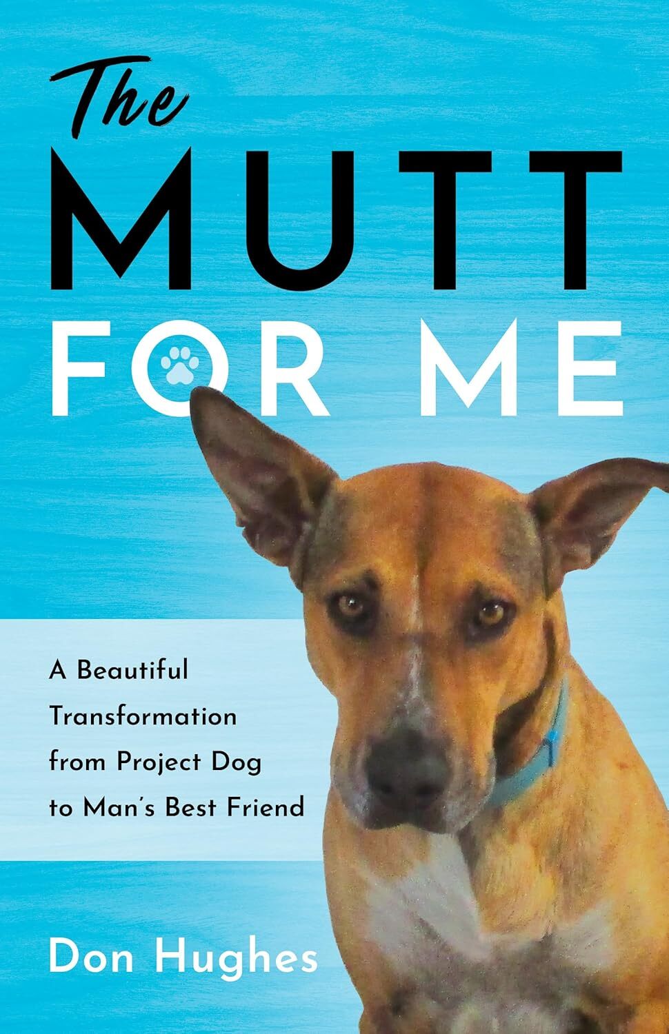 Vote for The Mutt for Me: A Beautiful Transformation from Project Dog ...
