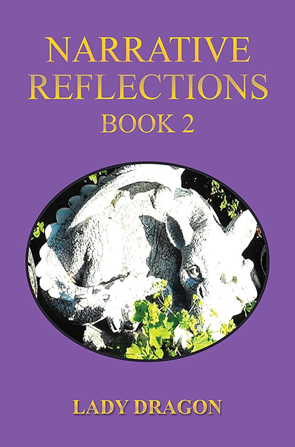 Vote for Narrative Reflections Book 2 in Book Cover Competition January