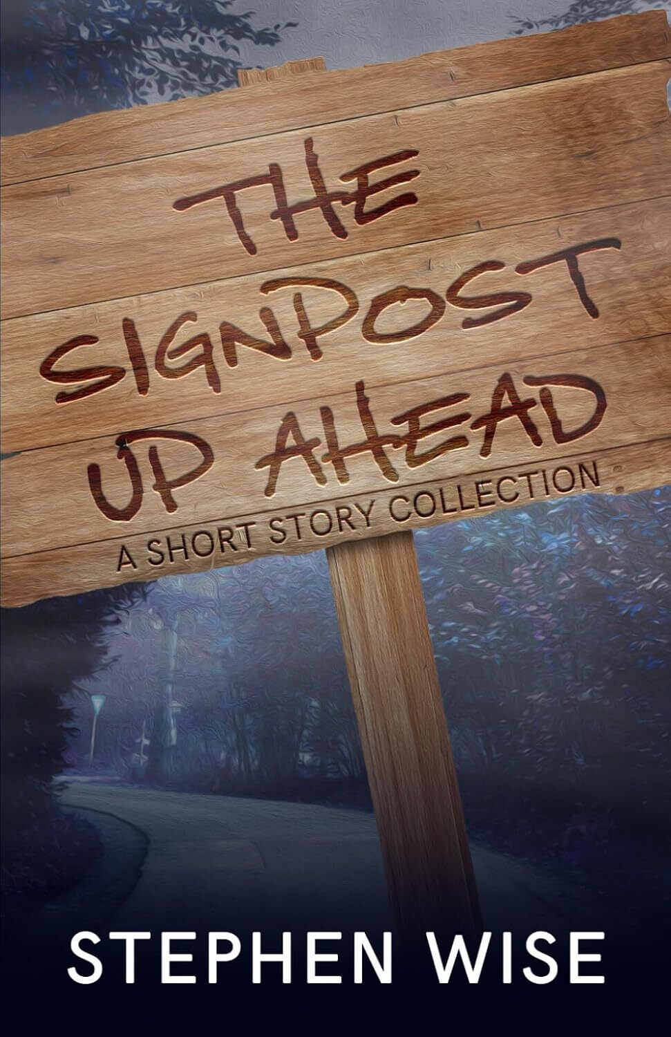 Vote for The Signpost Up Ahead: A Short Story Collection in Book Cover ...