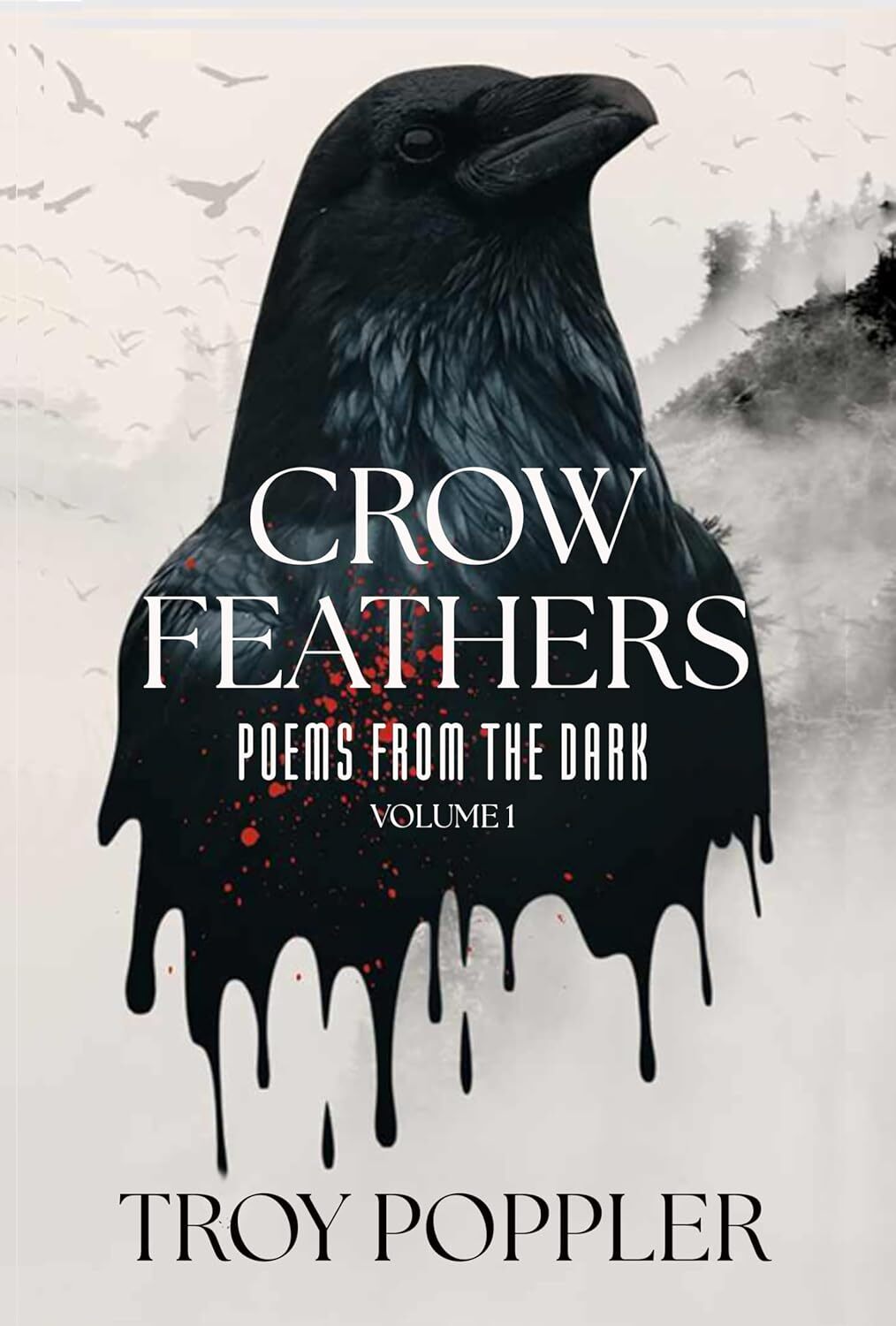 Vote for Crow Feathers: Poems from the Dark in Book Cover Competition ...