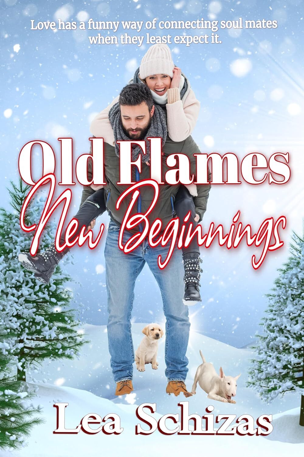Vote for Old Flames, New Beginnings in Book Cover Competition February