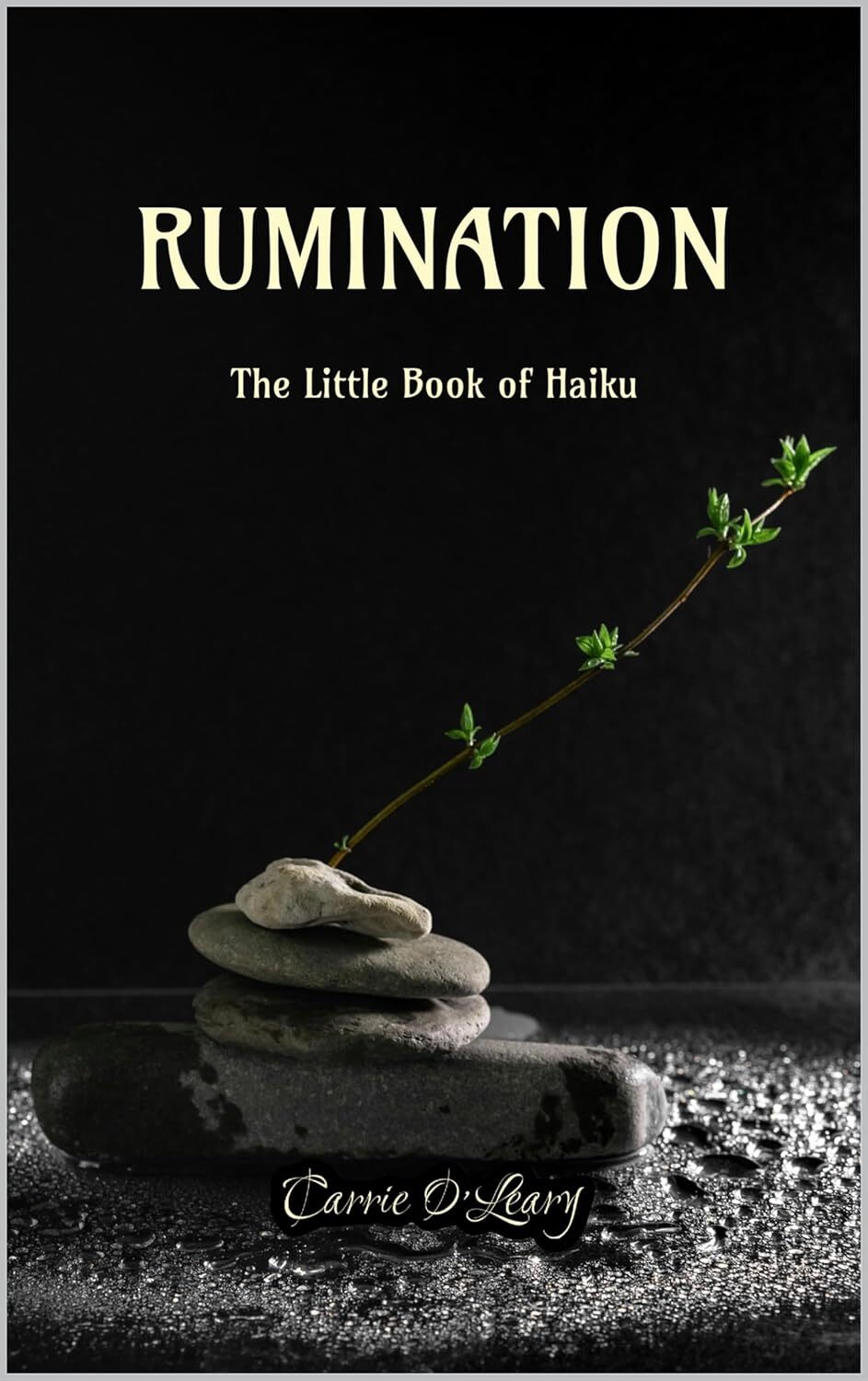 Vote for Rumination: The Little Book of Haiku in Book Cover Competition ...