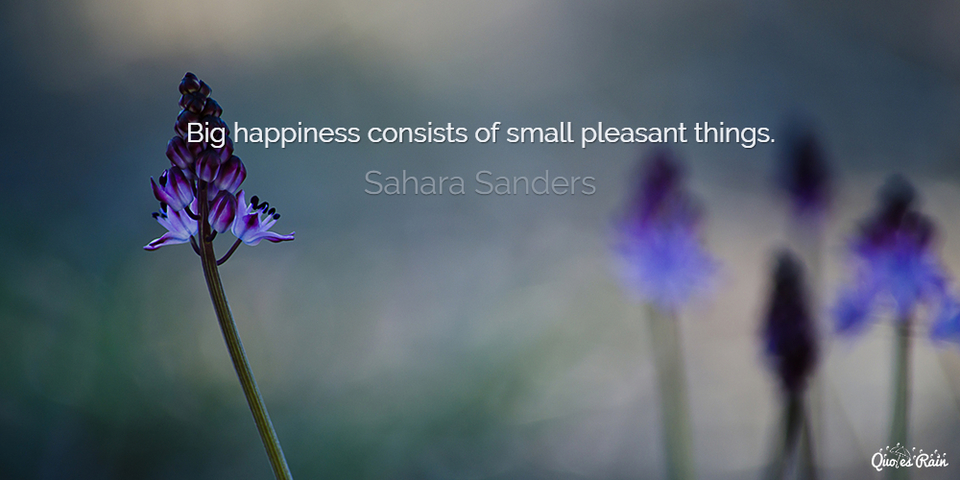 Big happiness consists of small pleasant... Picture Quotes 1032 - AllAuthor