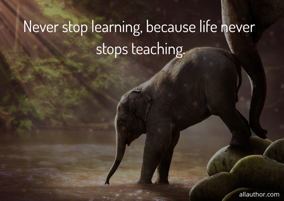 Never Stop Learning Because Life Never Stops Picture Quotes 10120